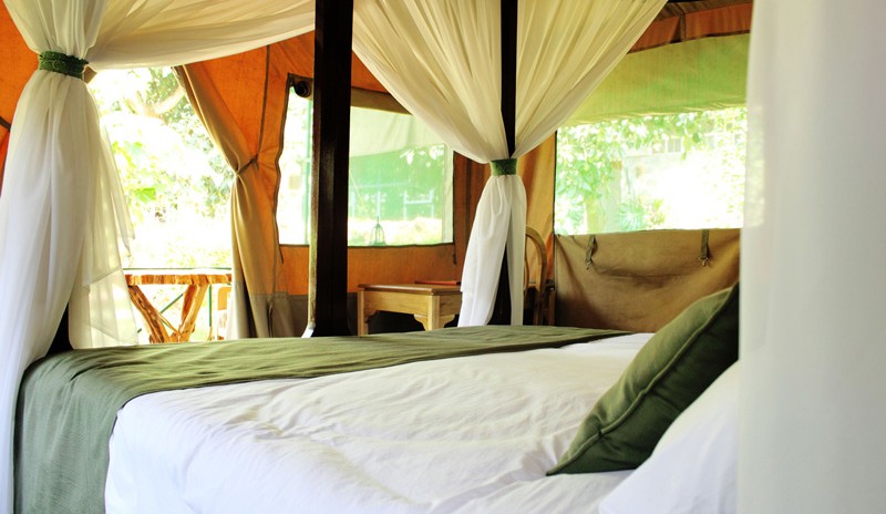 The Nairobi Mamba Village – Mice Kenya