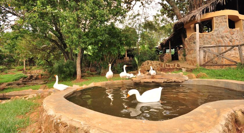 Naiberi River Campsite & Resort – Mice Kenya