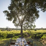 Maasai Mara – Mice Kenya